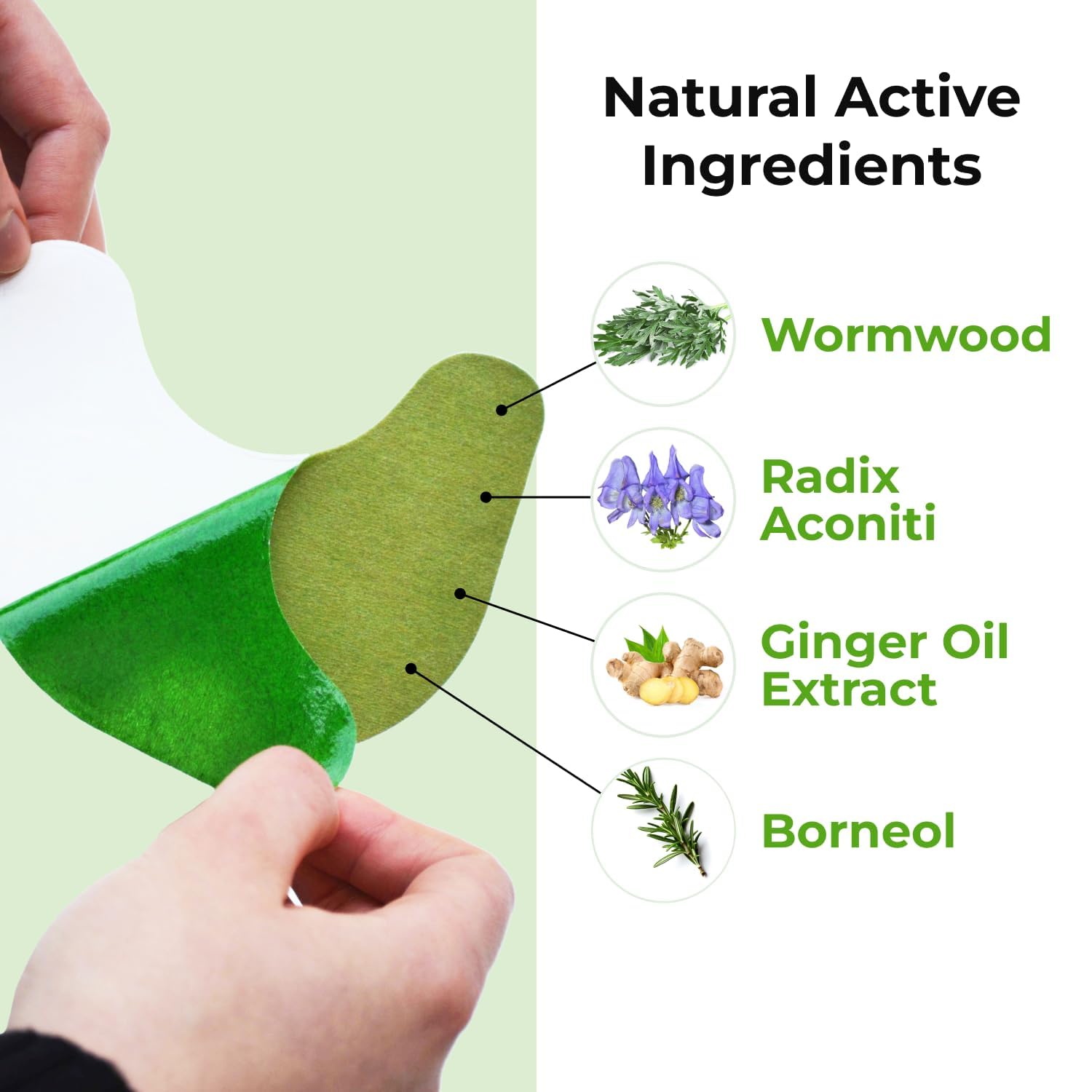 Knee Relief Patch Set – Herbal-Infused Adhesive Patches (10 Pc Set) – Sky Shopy